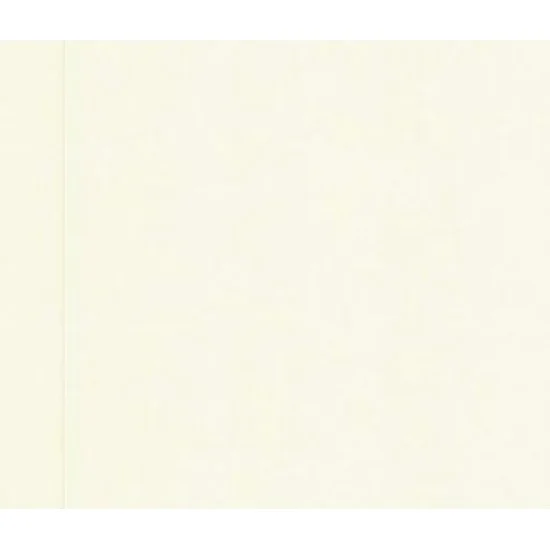 PAPAGO PAPER A4 CREAM 80GSM 500 SHEETS